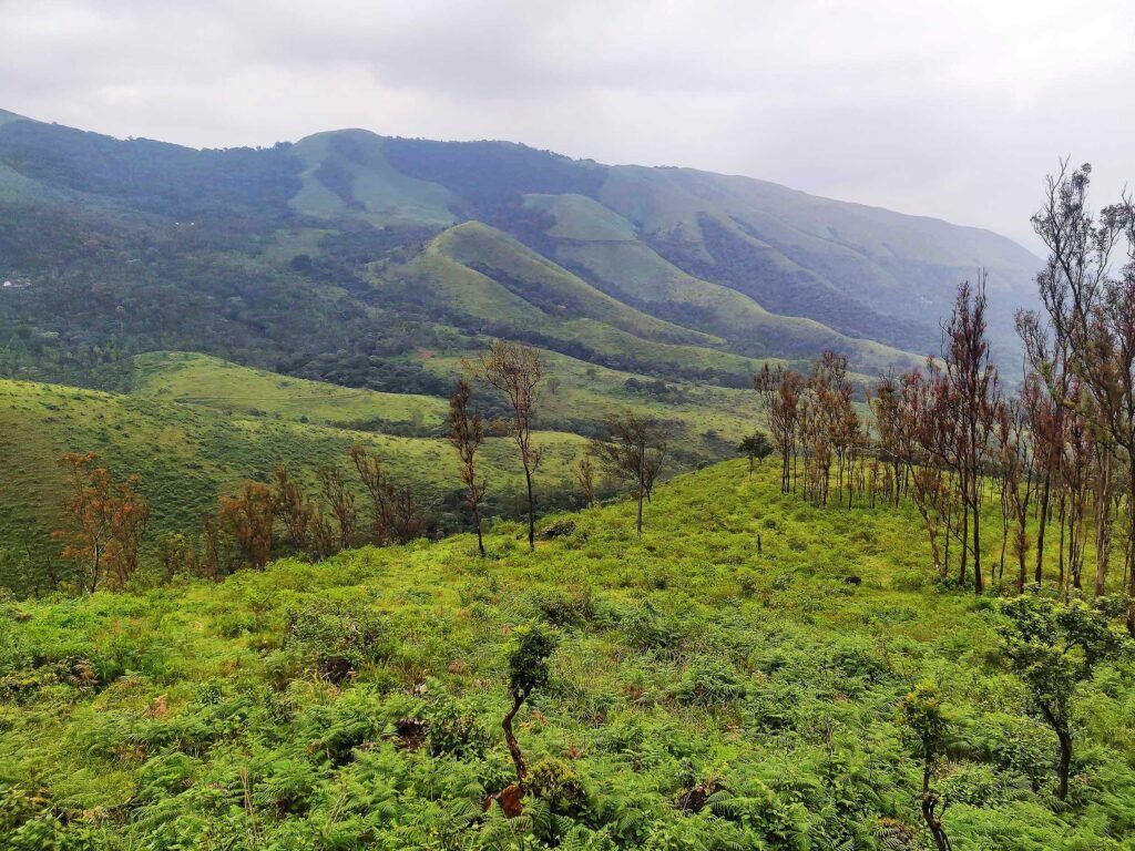 Chikmagalur : Women-Only | Transforming Travels